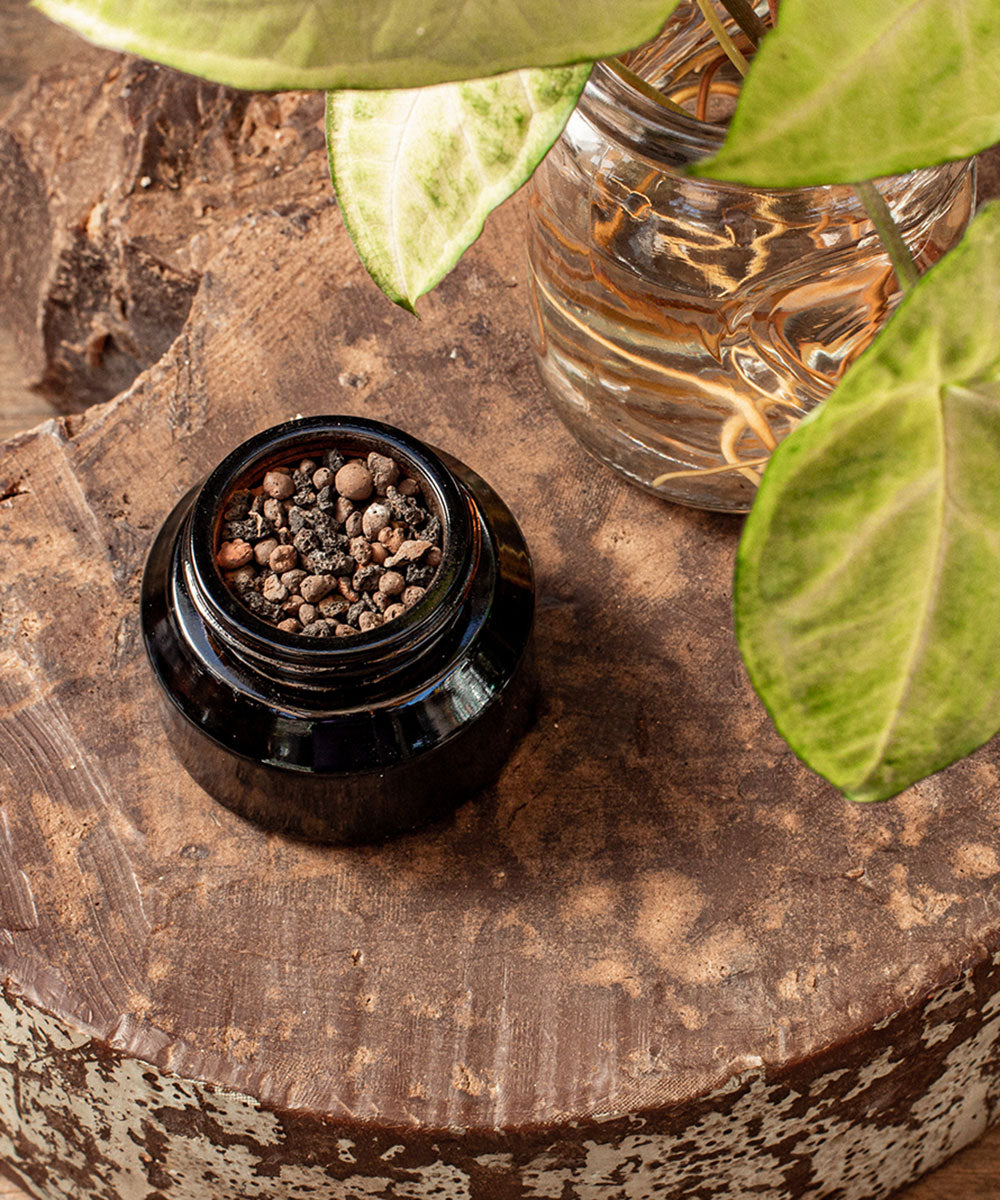 Fertilizante para raíces -Super Hongos 20gr. (Micorrizas)- – nacionplanta